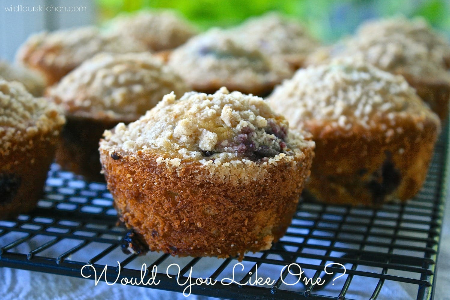 Streusel Topped White Chocolate-Huckleberry Coffee Cake Muffins ...